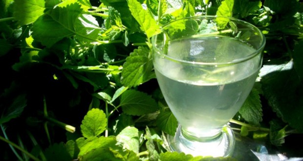 Сируп од маточина – јакне крв, против надуеност, гадење…. | BabinLEK