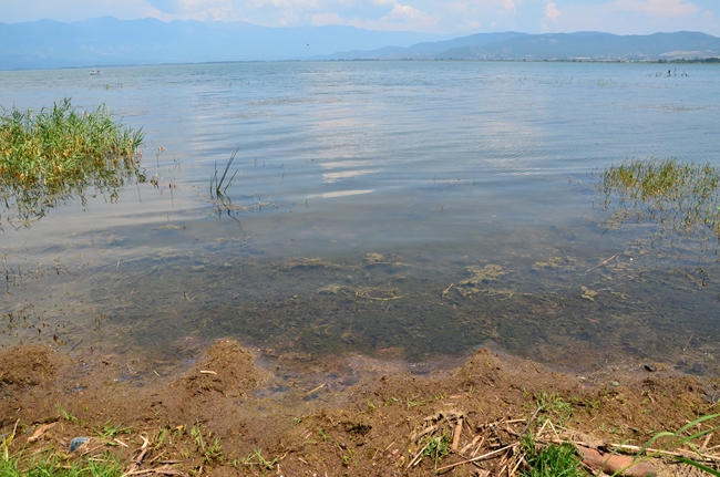 Моќта на лековитата кал во Дојранското Езеро | BabinLEK